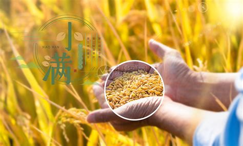 小满图片素材 正版创意图片401730504 摄图网