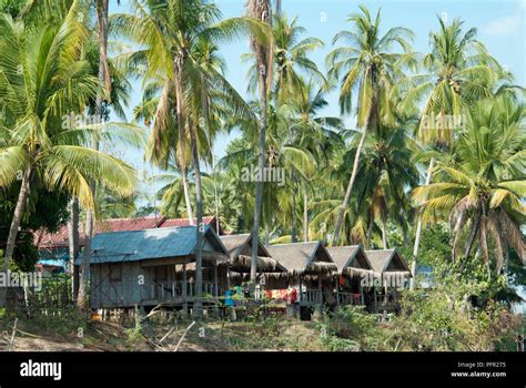 Laos Si Phan Don Four Thousand Islands Don Det Island Tourist Huts Amongst Palm Trees Stock
