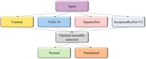 Process Flow Diagram Depicting The Construction Of The Model Averaging