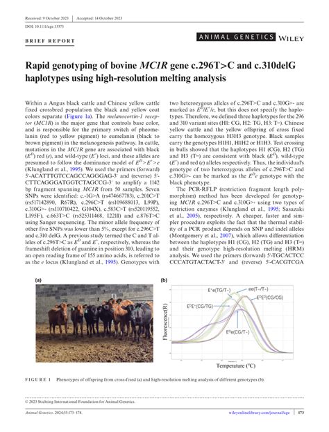 Rapid Genotyping Of Bovine Mc1r Gene C296tc And C310delg Haplotypes Using High‐resolution