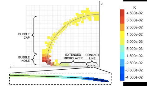 Typical Axisymmetric Shape Of A Growing Bubble At A Wall Interface Is Download Scientific