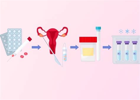 What Is Oocyte Freezing And How It Works