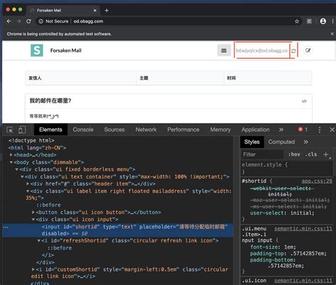 Using Python And Selenium How Can I Get The Value Of Placeholder Where