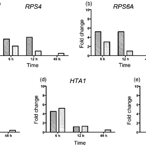 Graphical Representation Of Fold Change Data For Expression Of Five Download Scientific Diagram