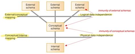 Database L11 Environment And Architectures Flashcards Quizlet