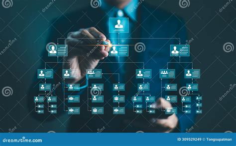 organization chart and hierarchy structure employees in the company with departments in business