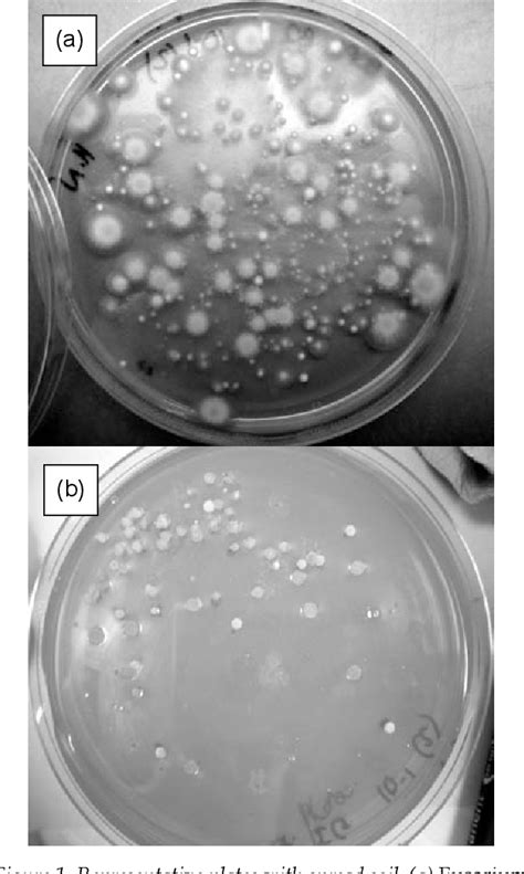 Figure 1 From Population Dynamics Of Fusarium Oxysporum And Trichoderma Spp In Malaysian And