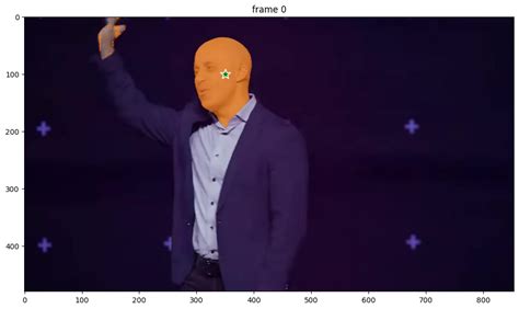 Sam2 On Databricks — Databricks Devrel Example Notebooks