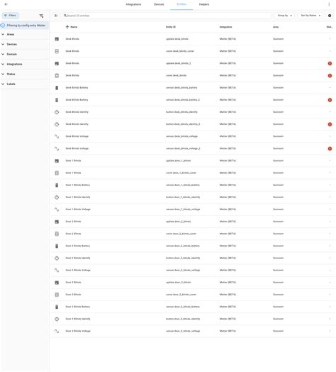 Duplicate Matter Entities After Disconnect Matterthread Home