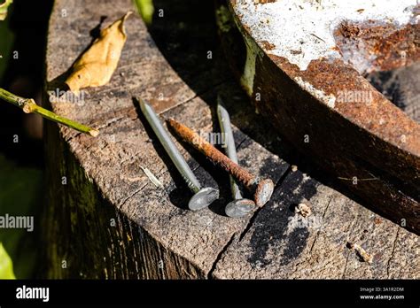 Carpentry Tools Rusty Hammer And Nails Close Up Contrast Of Old And