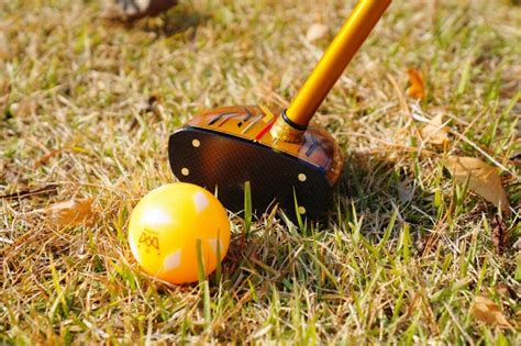 프라임4스타 국산 파크골프채 종류 양주 파크골프장 후기 네이버 블로그