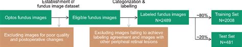 figure 2 from deep learning based automated detection of retinal breaks