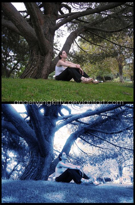 Tree Transformation By Angelwingkitty On DeviantArt