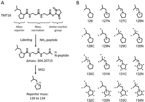 High Throughput And Deep Proteome Profiling By 16 Plex Tandem Mass Tag