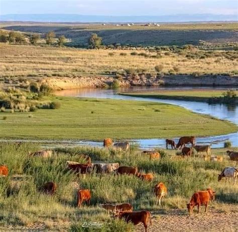 Сайнжаргал Алдсан оносон алхаа гишгээ бүр та бидний ирэх жилийн их үйл хэрэгт сургамж болон