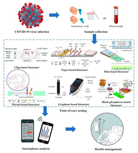 Biosensors For The Detection Of Bacterial And Viral Clinical Pathogens Pmc