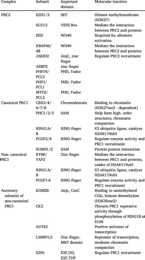 Prc1 And Prc2 Subunits And Their Roles Download Scientific Diagram