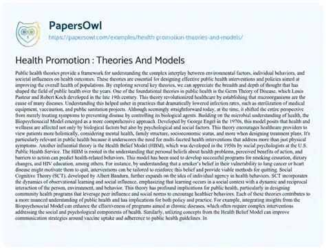 Health Promotion Theories And Models Free Essay Example 579 Words