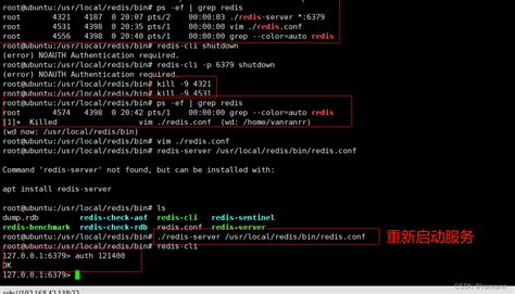 idea无法连接redis redis配置密码 idea database redis 密码 csdn博客