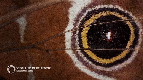 Barney Jackson On Linkedin Sbtn Biodiversity Naturebasedsolutions