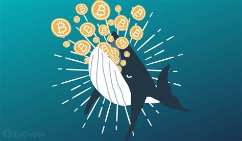 on chain data shows bitcoin whale buys 2000 btc is a gigantic price