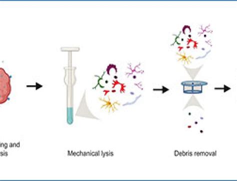 Matq Seq Effective Detection Of Variation In Single Cell Transcriptomes Rna Seq Blog