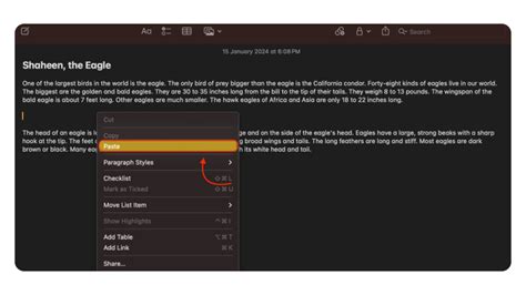 How To Copy And Paste On A Mac In 3 Different Ways Appuals