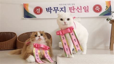 대환장 생일파티 Youtube