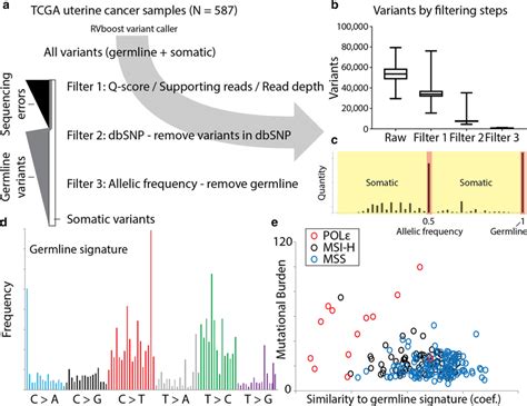 Filtering Process To Enrich For Somatic Variants In Tumor Only Rna Seq Download Scientific