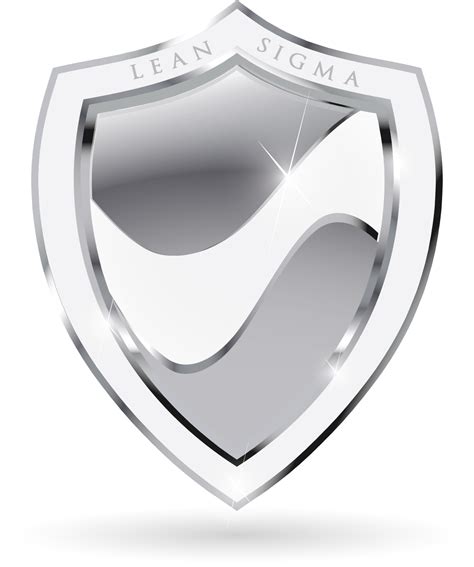 White Label Six Sigma Training Materials Lean Sigma Corporation