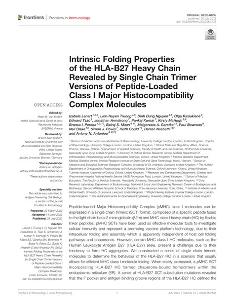 Pdf Intrinsic Folding Properties Of The Hla B27 Heavy Chain Revealed