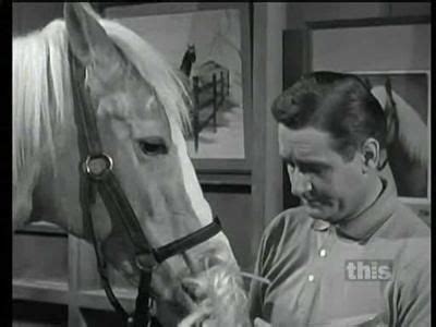 The Best Episodes Of Mister Ed Season 2 Episode Ninja