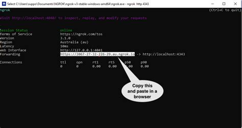 Setting Up Live Results Via The Internet Using Ngrok Sqorz Docs