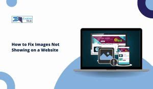How To Fix Images Not Showing On A Website