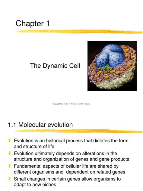 Chapter01 The Dynamic Cell Pdf Cell Biology Organisms