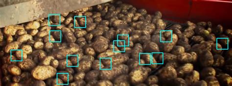 python use opencv to track potatoes on a belt the best alternative