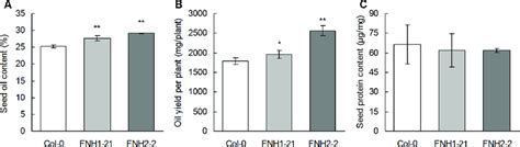 Effect Of Ahlpat2 Overexpression On Seed Oil And Protein Contents Of