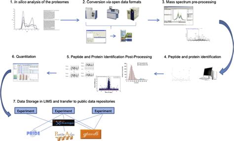 Schema Of The Possible Computational Processing Steps Of A Proteomics