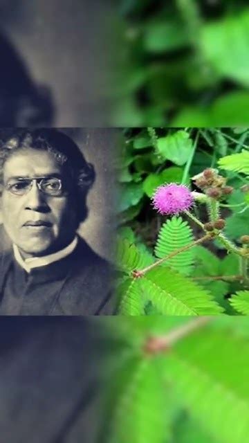 জগদীশ চন্দ্র বসু কি আবিষ্কার করেন Shorts Viralshorts Youtubeshorts Youtube