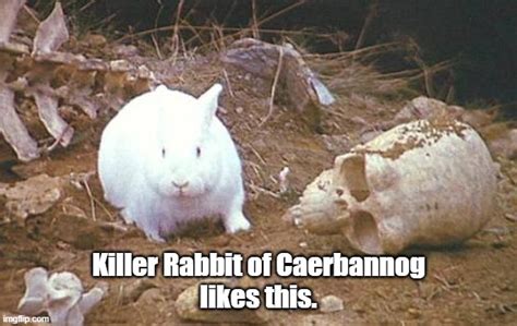 Monty Python Rabbit Memes Imgflip