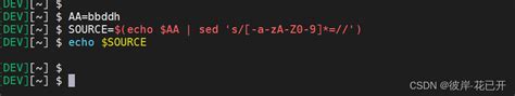 Shell脚本 将echo的结果赋值给指定变量shell Echo赋值给变量 Csdn博客