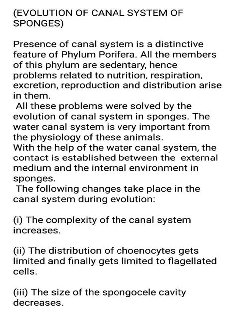 Canal System Pdf Sponge Organisms