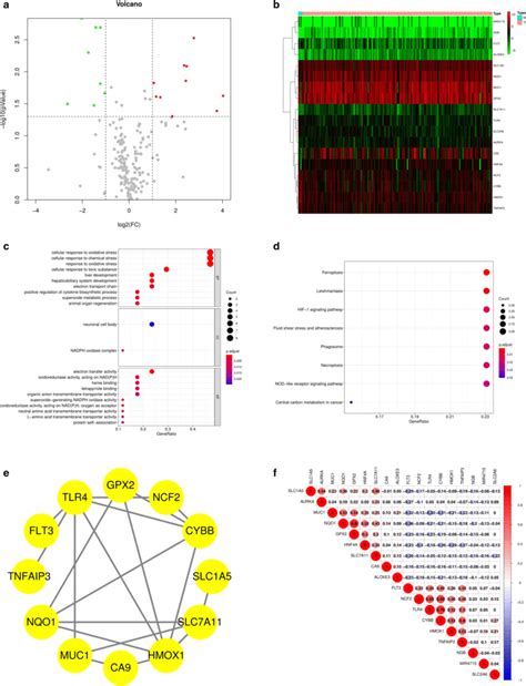 Identification And Enrichment Analysis Of De Frgs A Volcano Plot Of