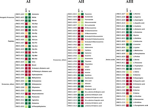 Phenotype Microarray Pm With Different Nitrogen Sources Metabolic