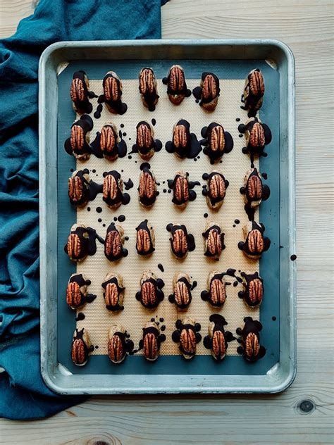 Cockroach Clusters Harry Potter Inspired Whip And Wander