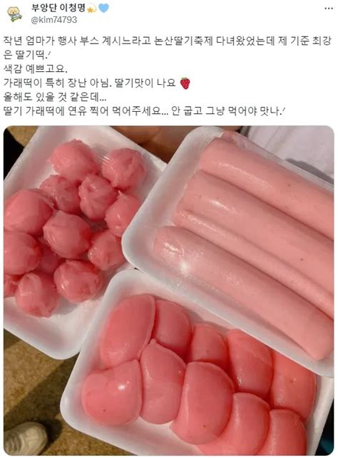 논산 딸기 축제 후기  오픈이슈갤러리 인벤