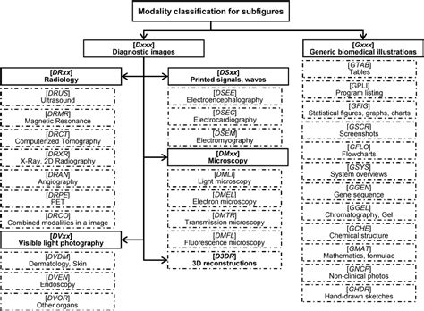 Figure 3 From Deep Transfer Learning For Modality Classification Of