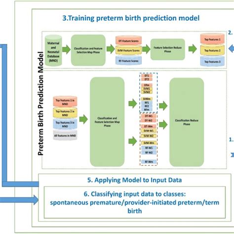 The Framework Of The Decision Support System For Preterm Birth