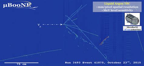 detecting neutrinos — lartpc mlreco3d tutorials