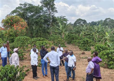 Abalimi E Bukomansimbi Bawaanjagidde Government Okwongera Amaanyi Mu Nkola Yokuyambako Abalimi